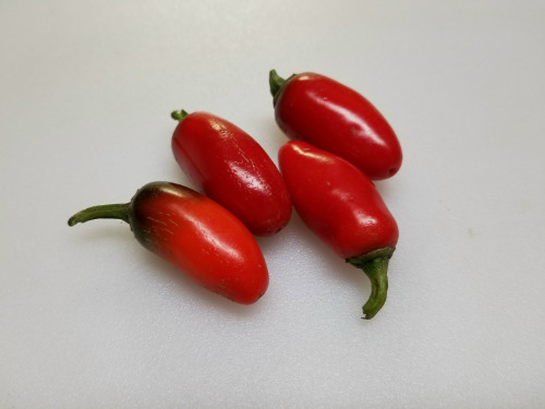 Sweet Jalapeno Pepper 10 Seeds | Super Hot Chiles Sweet Jalapeno Pepper 10 Seeds | Super Hot Chiles