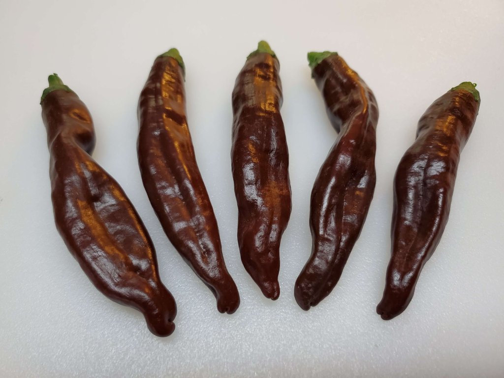 Ethiopian Brown Pepper Seeds | Super Hot Chiles