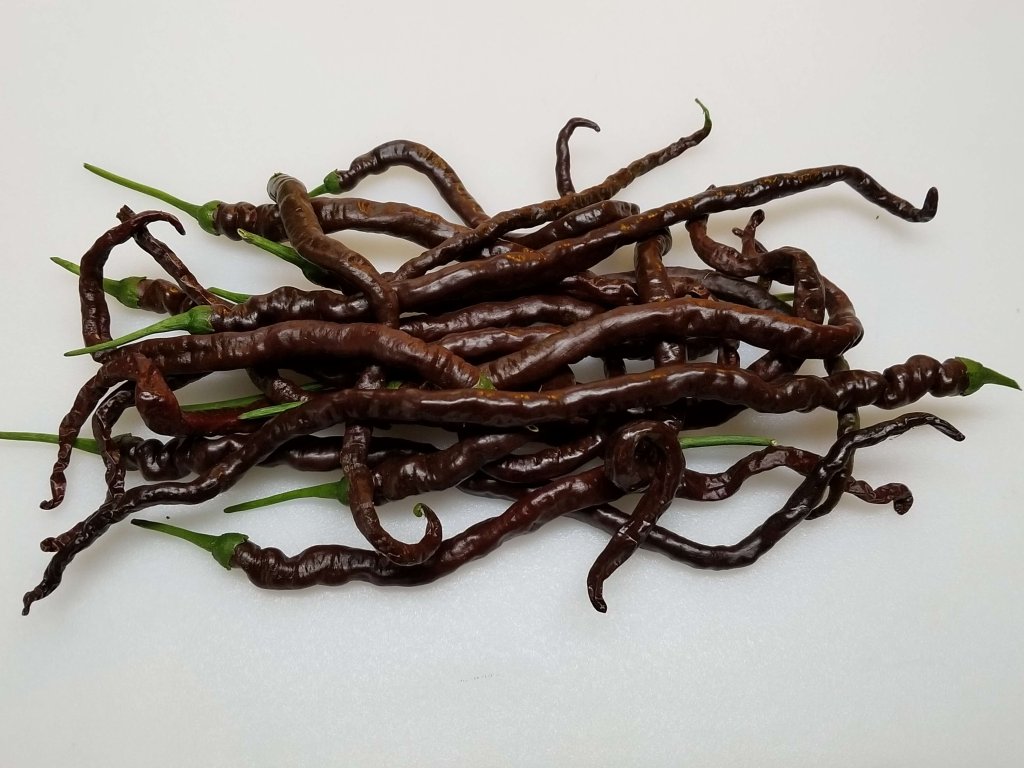 Thunder Cacho Brown Pepper Seeds | Super Hot Chiles