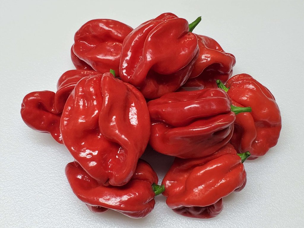 Trinidad Red Scotch Bonnet Pepper Seeds | Super Hot Chiles