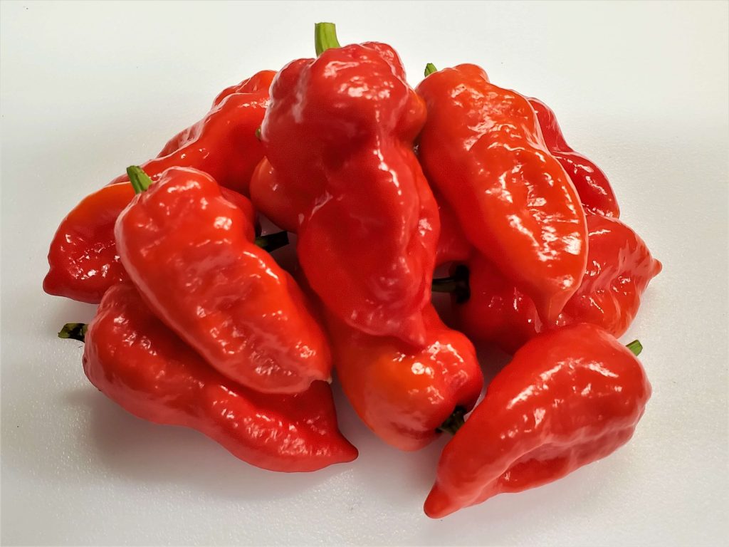 Sweet Apple Pepper Seeds | Super Hot Chiles